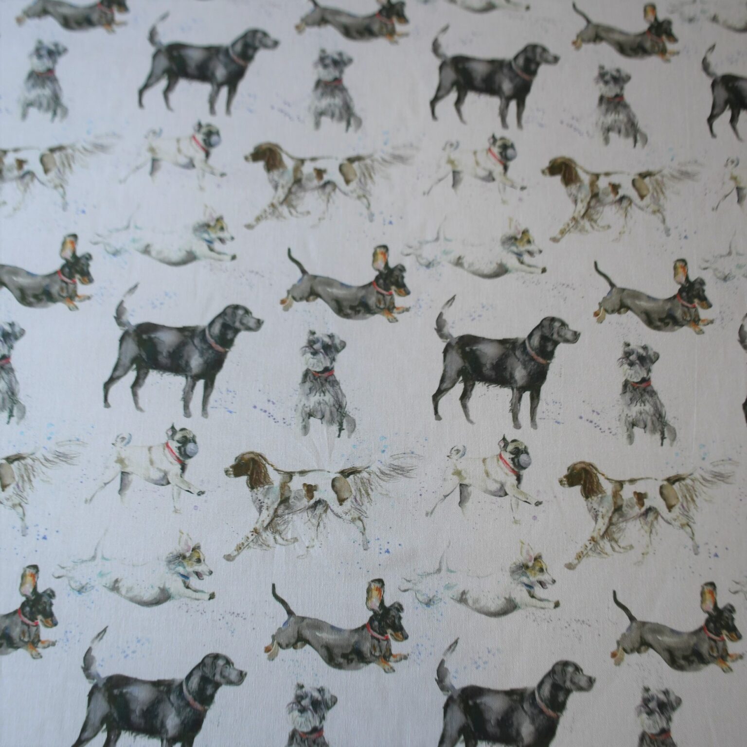 Dashing Dogs - Coach House Interiors