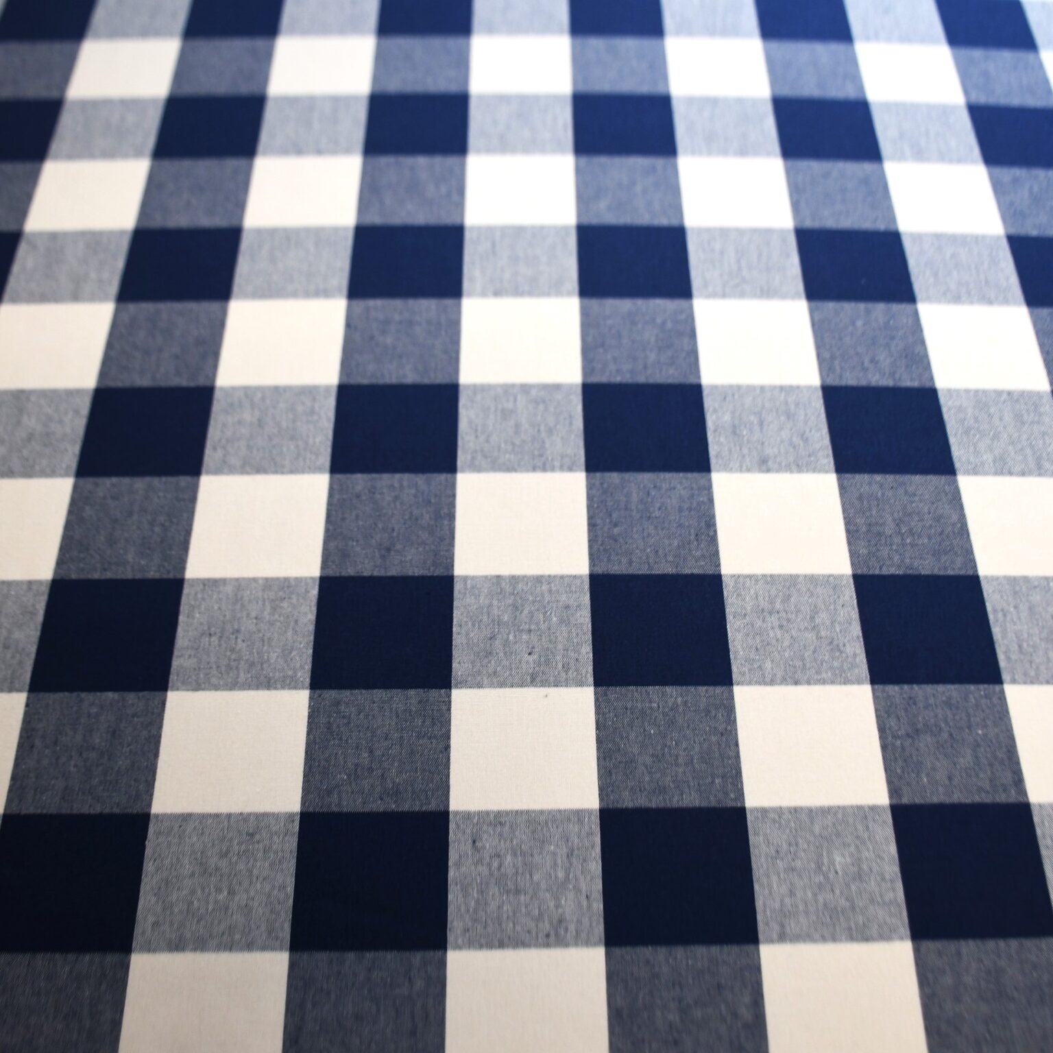 Large Blue Check - Coach House Interiors